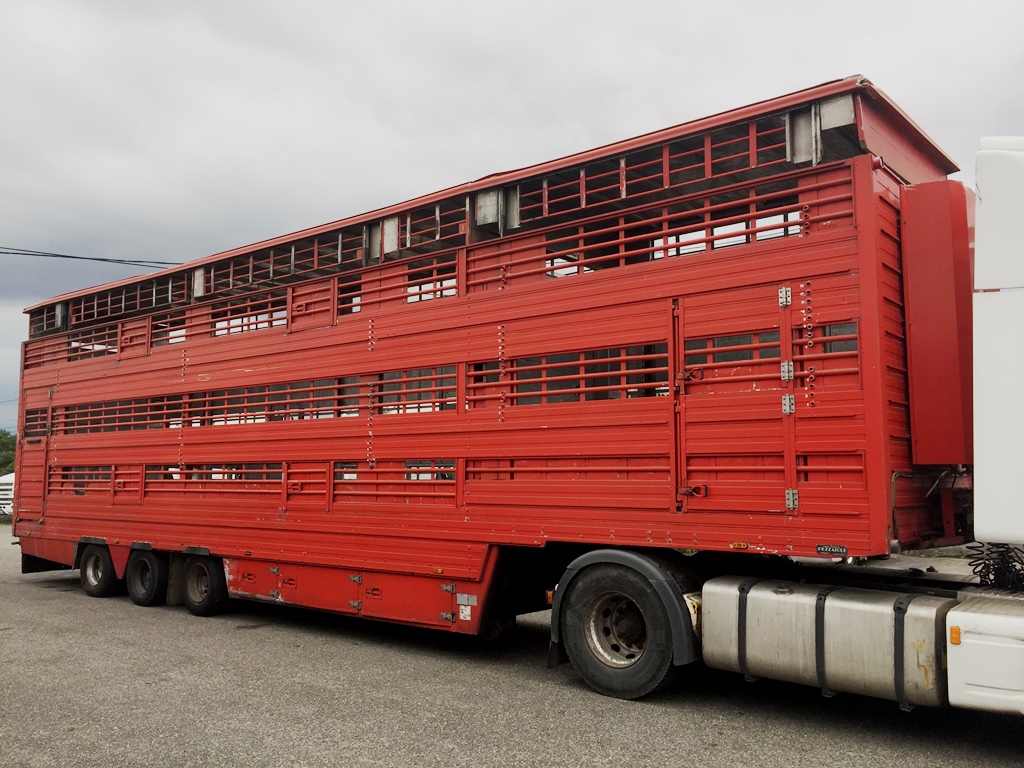 PEZZAIOLI - 2 pisos - 2 partes - 1998 - FRANCK CASSÉ